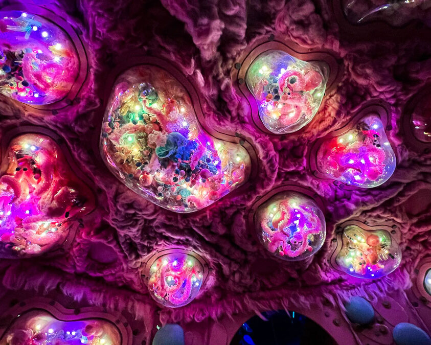 Denver's Meow Wolf - Mike Jackson Photography